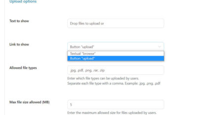 YITH WooCommerce Product Add-Ons & Extra Options