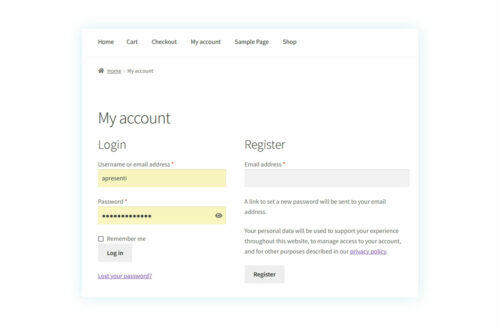 Login and Registration: WooCommerce login for your customers 2025